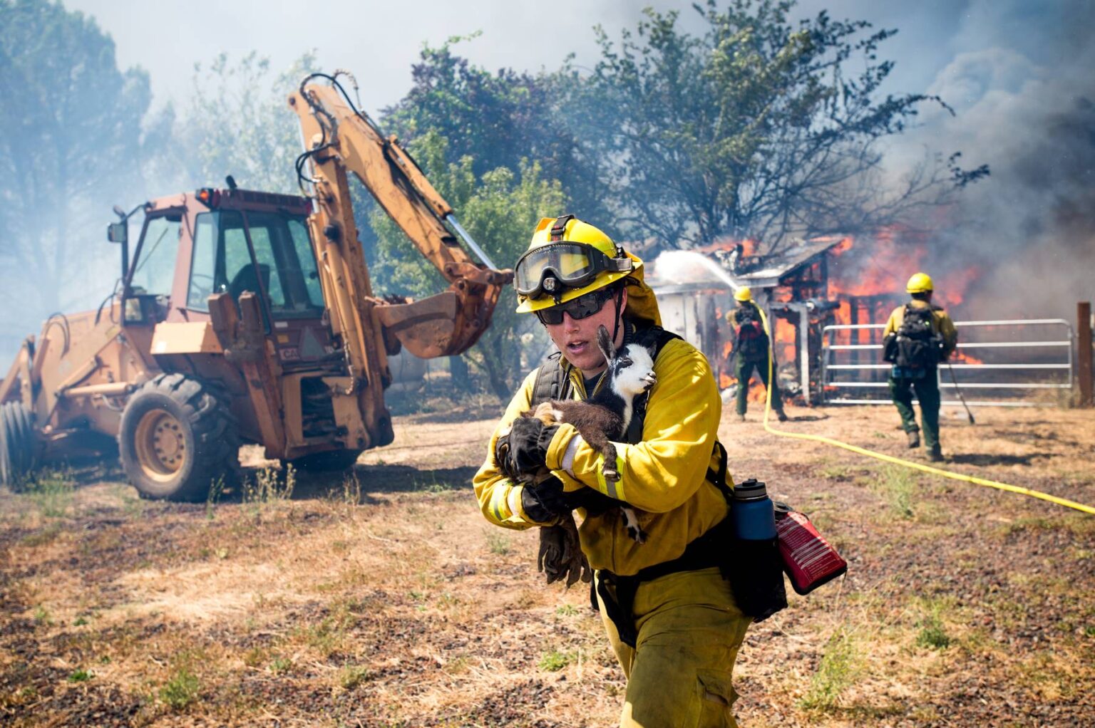 Goat Care During Fire Season - Goat Journal